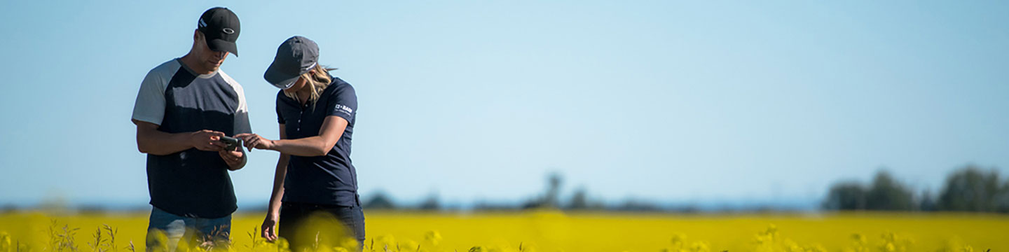 BASF | InVigor Hybrids - Overview