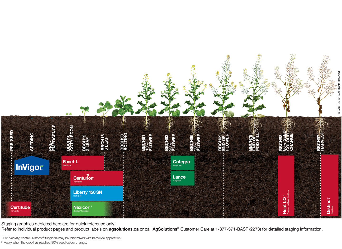BASF | Crops - Canola