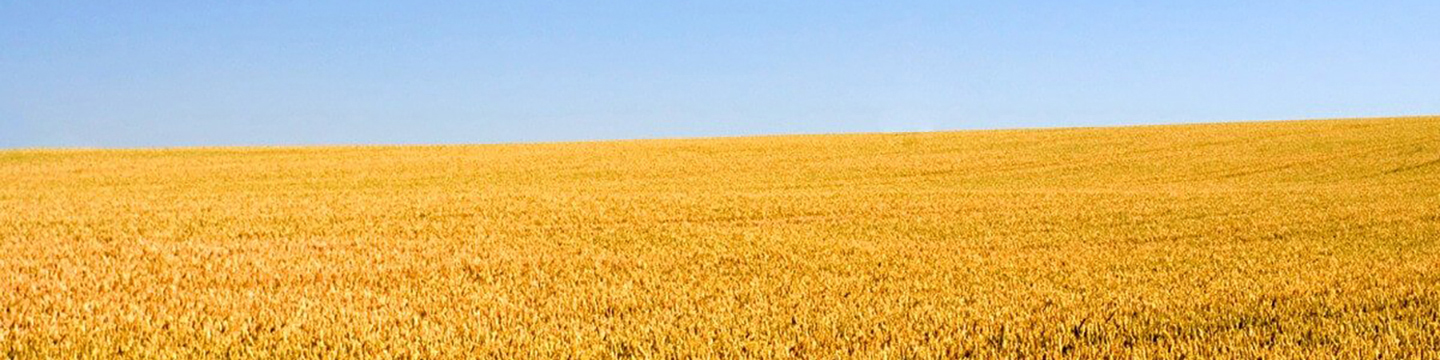 BASF | Product Profile - Dyvel® DSp