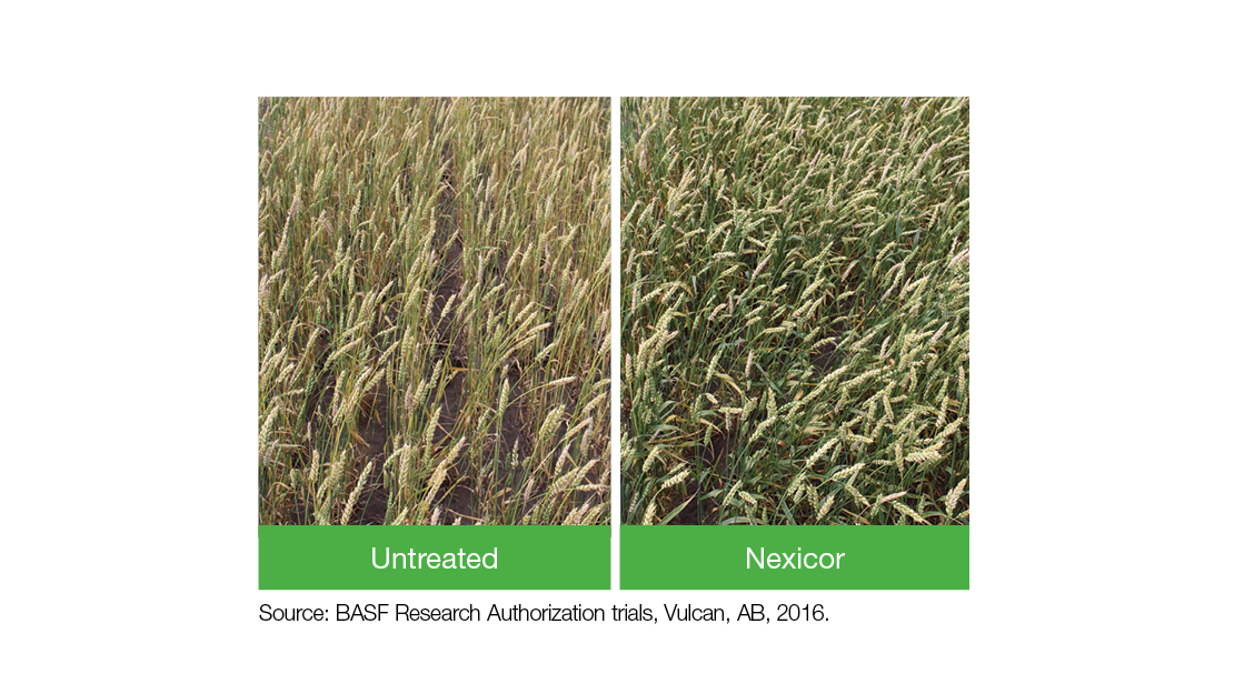 BASF | Product Profile - Nexicor®