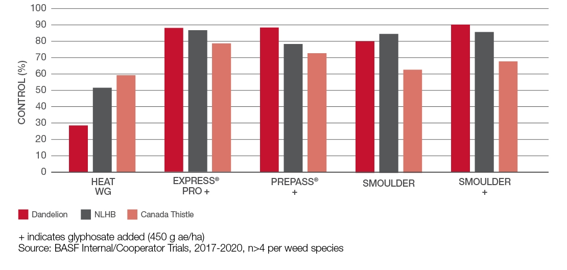 BASF | Product Profile - Smoulder