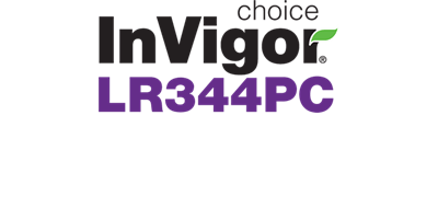 BASF | InVigor Choice Hybrids - Overview
