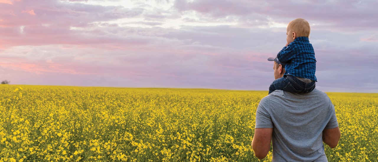 BASF | InVigor Hybrid Canola