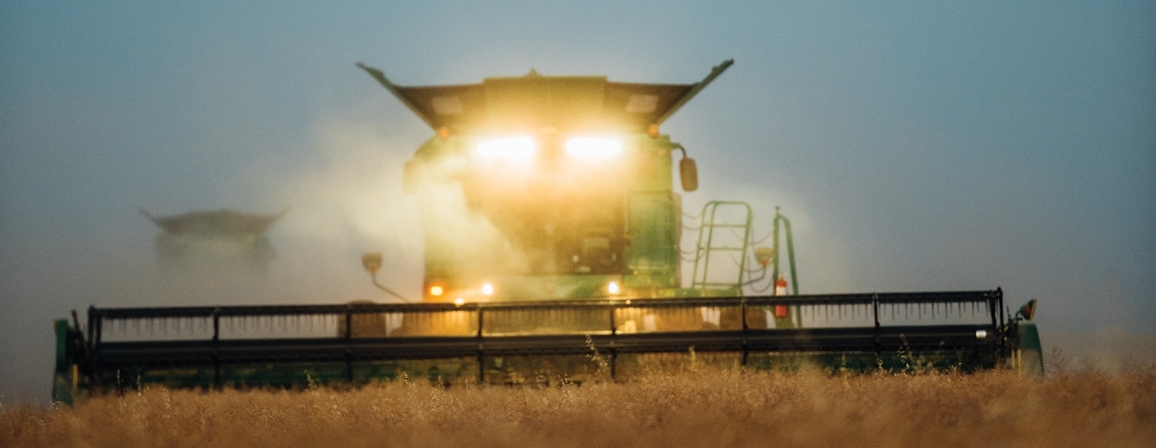 BASF | InVigor Clubroot Hybrids - Overview