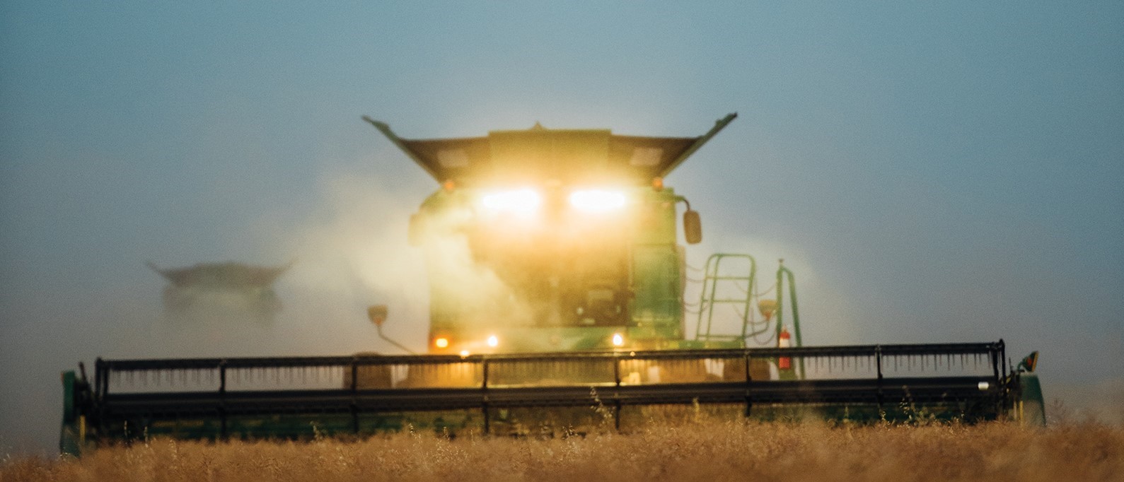 BASF | InVigor Hybrids - Overview