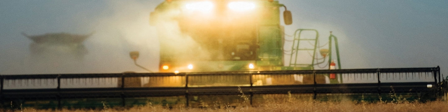 BASF | InVigor Pod Shatter Reduction Hybrids - Overview