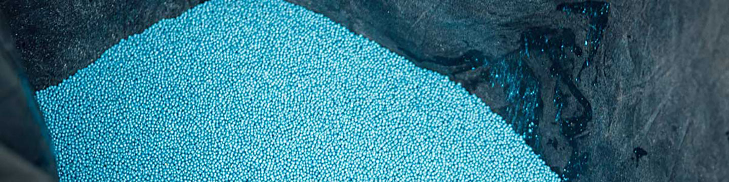 BASF | InVigor Hybrids - Seed Quality