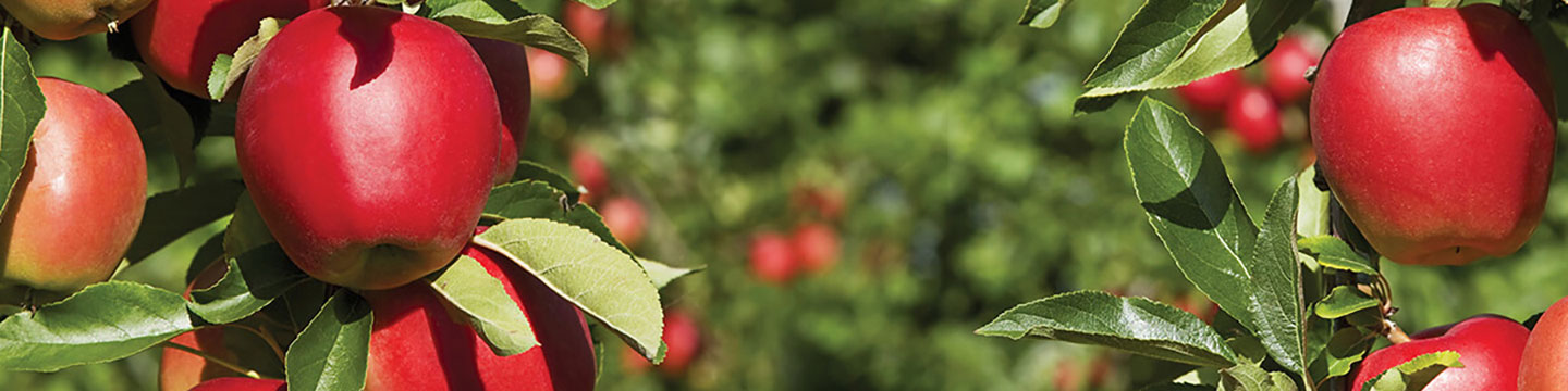 BASF | Produits - Cevya