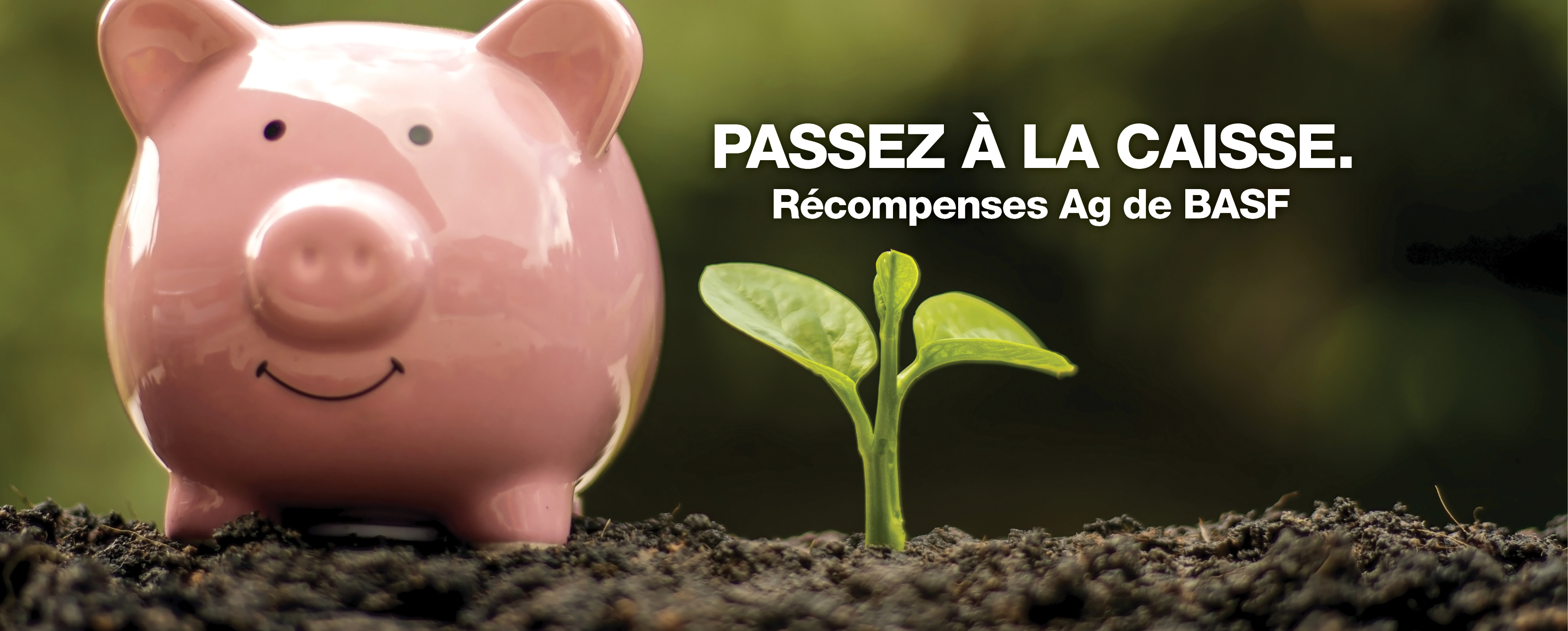 BASF | Solutions agricoles - Est du Canada